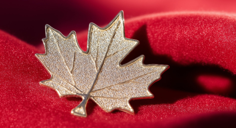 Order of Canada appointees have CRE credentials - REMI Network