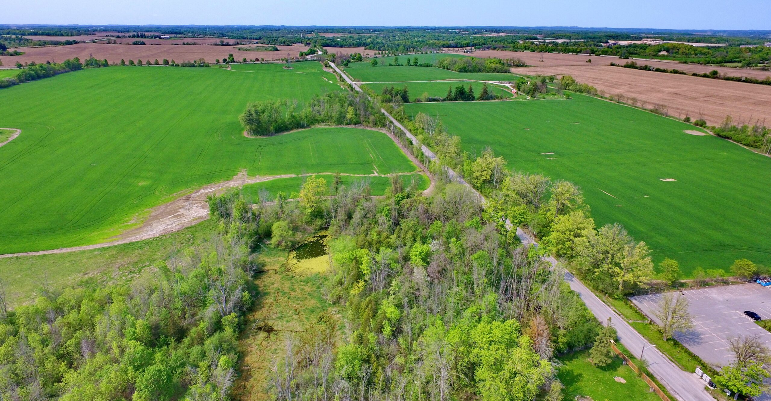 Steve Clark faces backlash over Greenbelt scandal - REMI Network